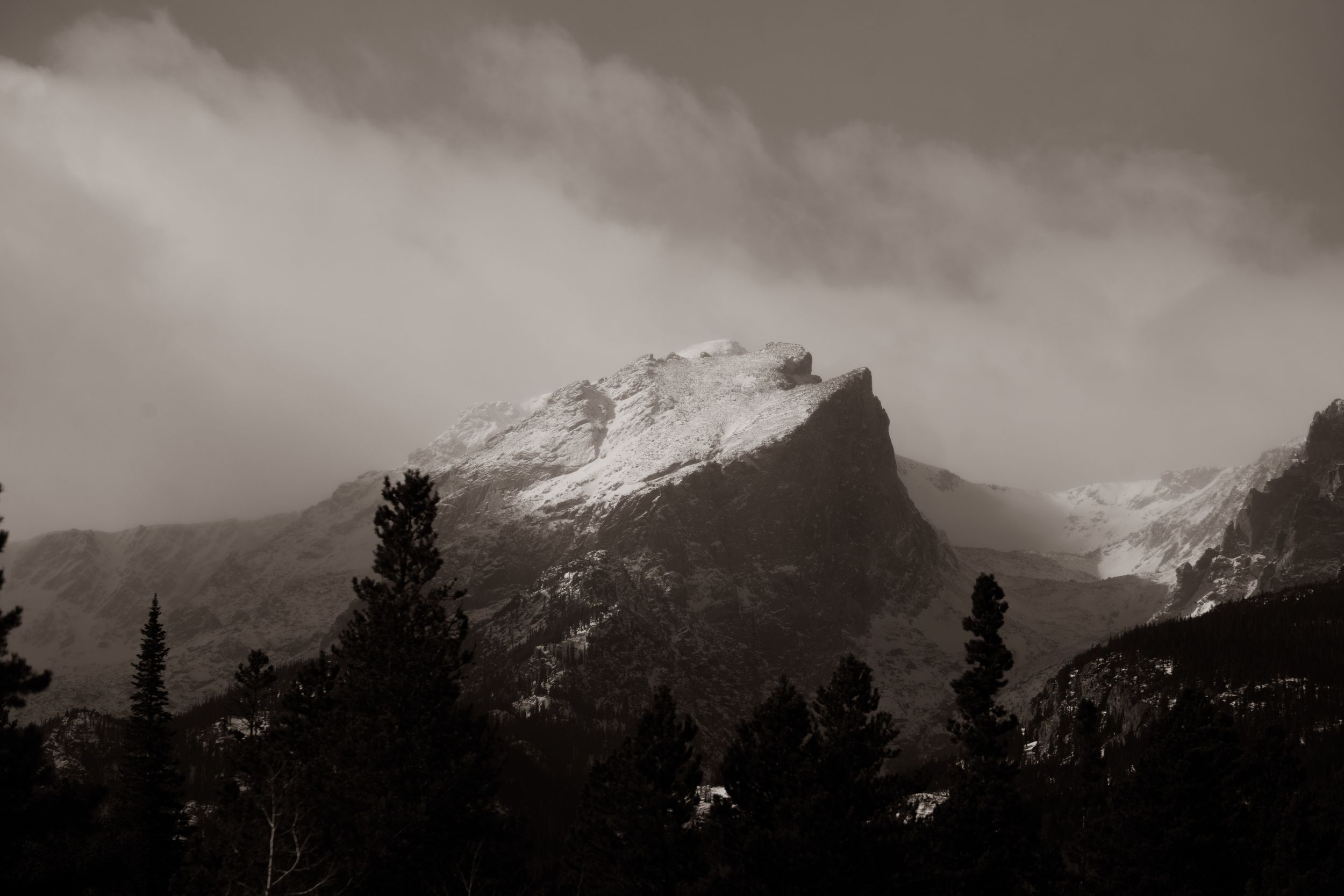 Michael Hoster Creative