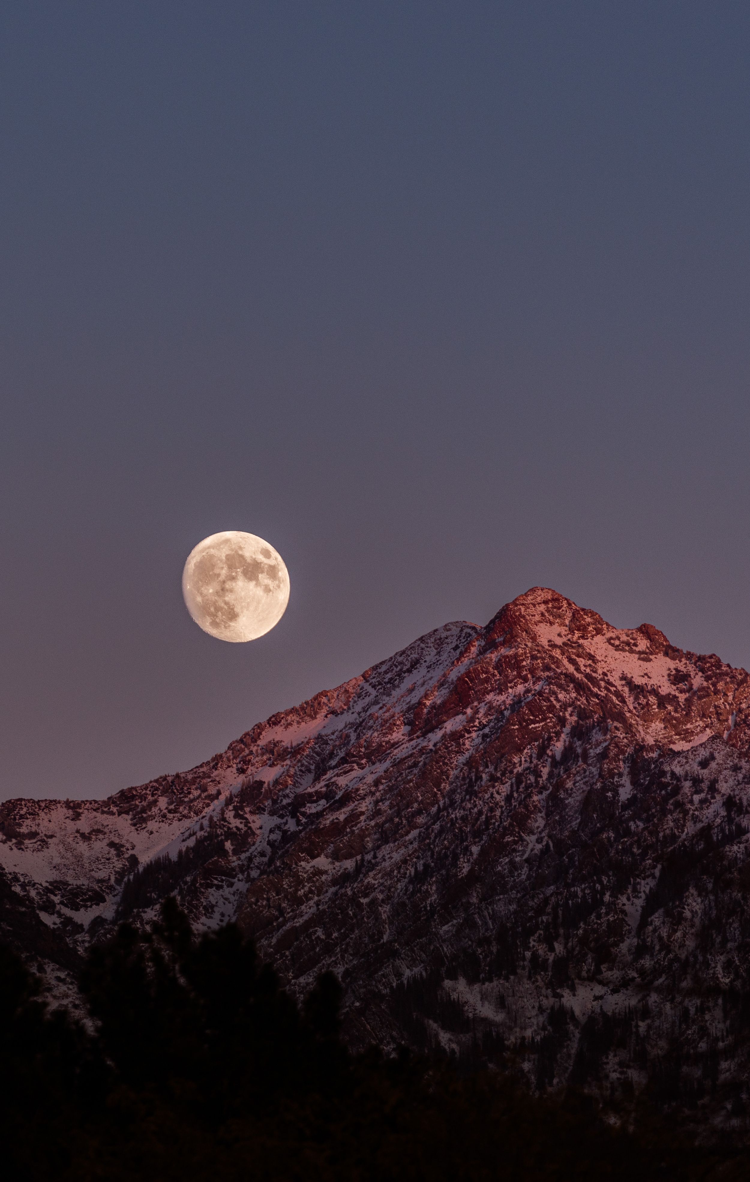 Michael Hoster Creative