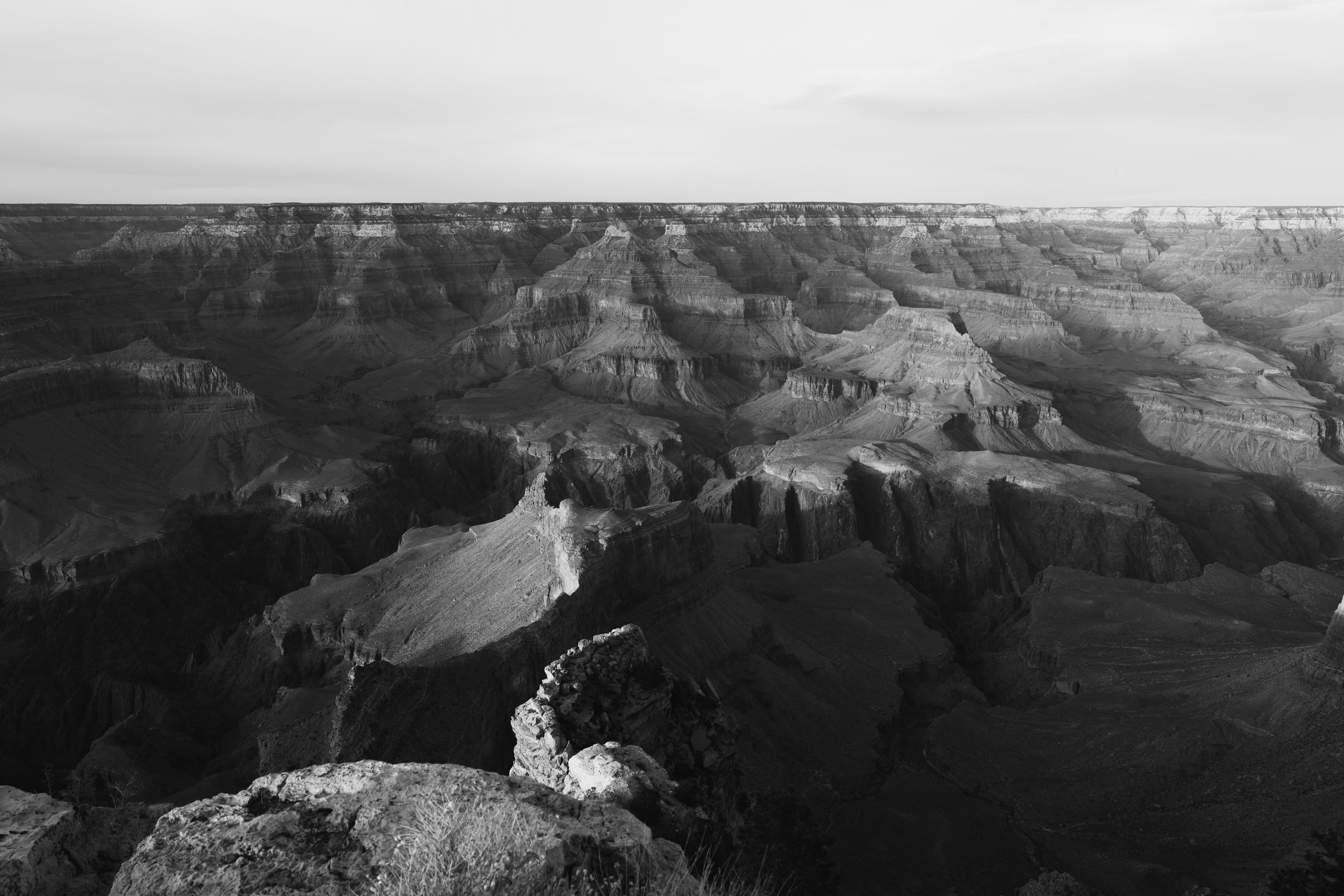 Michael Hoster Creative