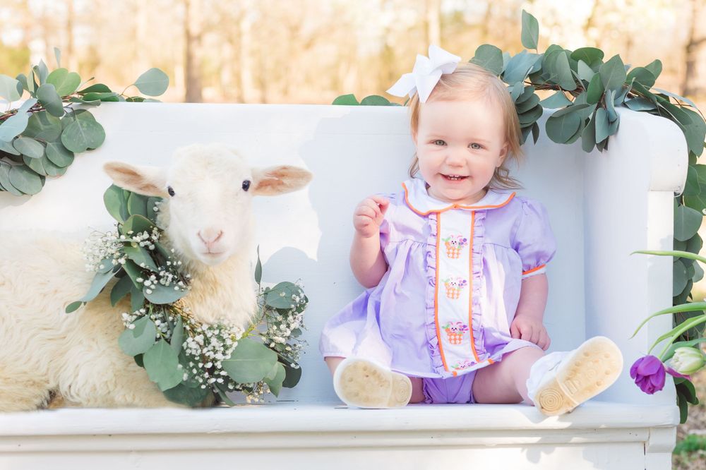 Top 7 Ways to Support Your Small Business Photographer - Anna Payton ...