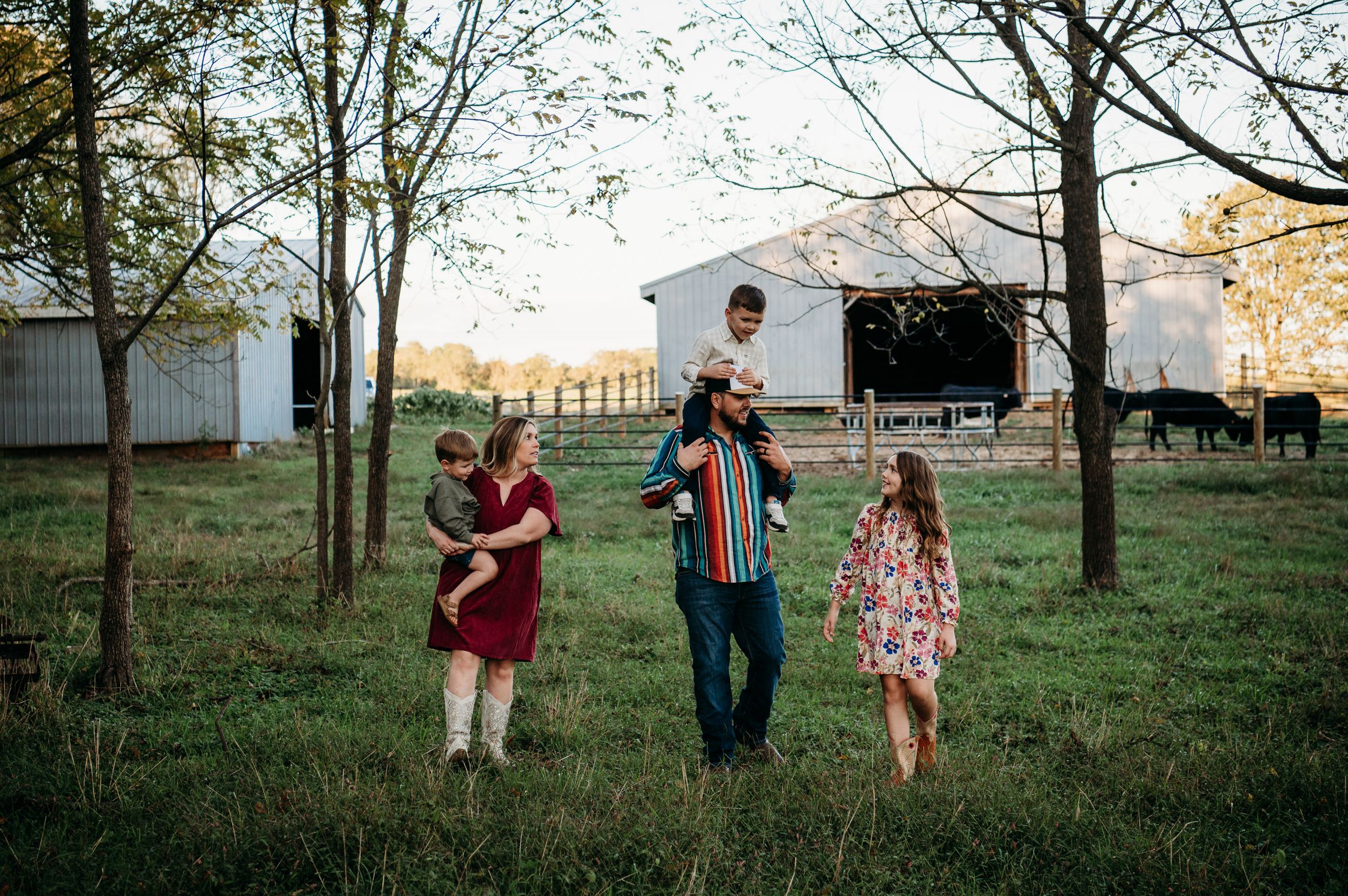 Cows, Chaos, and Golden Hour...From Giveaway to Farm Magic ...