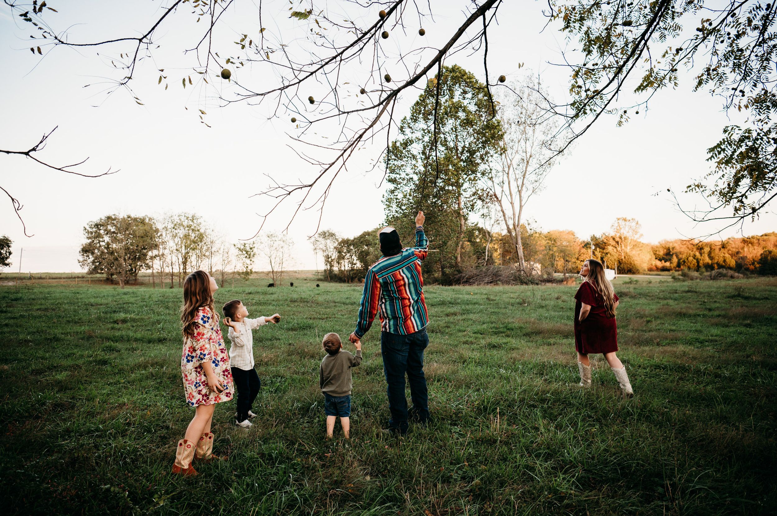 Cows, Chaos, and Golden Hour...From Giveaway to Farm Magic ...