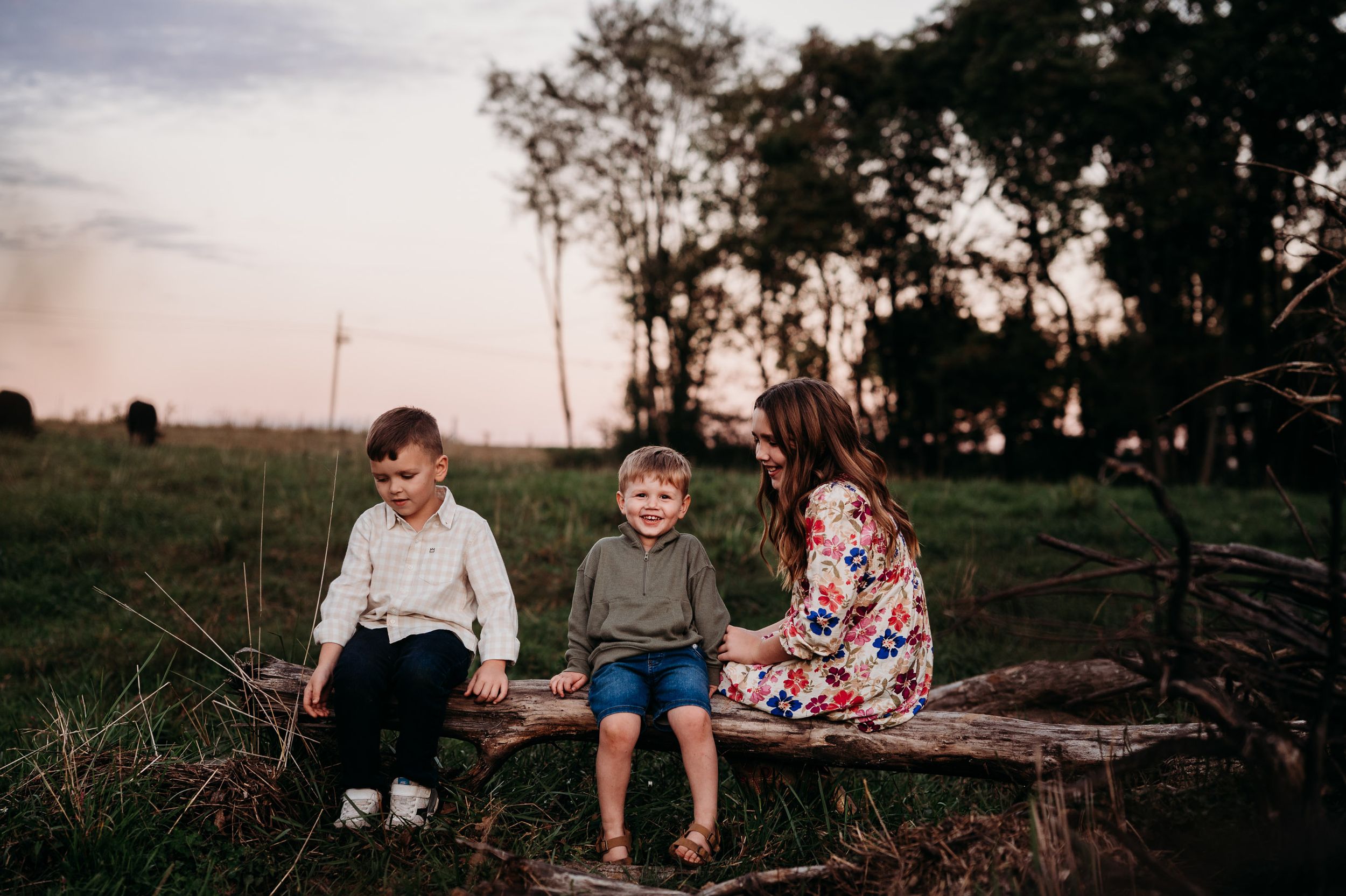 Cows, Chaos, and Golden Hour...From Giveaway to Farm Magic ...