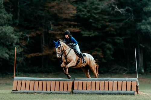 Otter Creek Horse Shows - Morgan Chapman Media