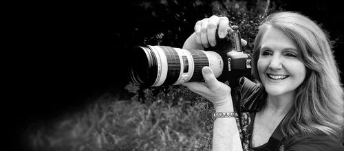 Sharon Potts Photography