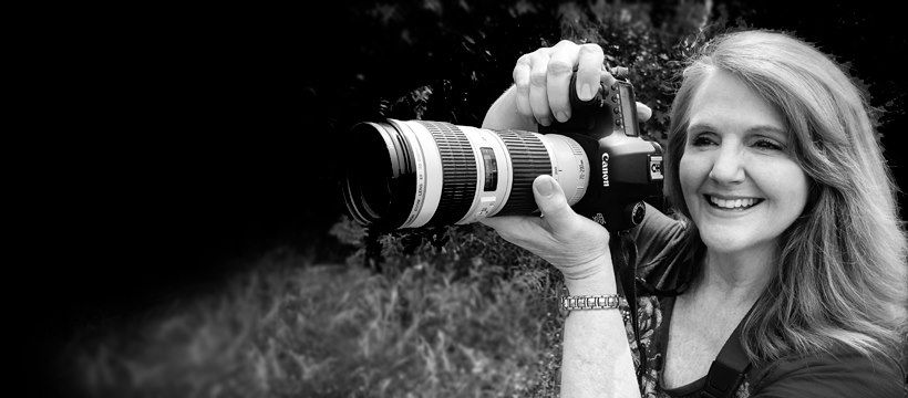 Sharon Potts Photography