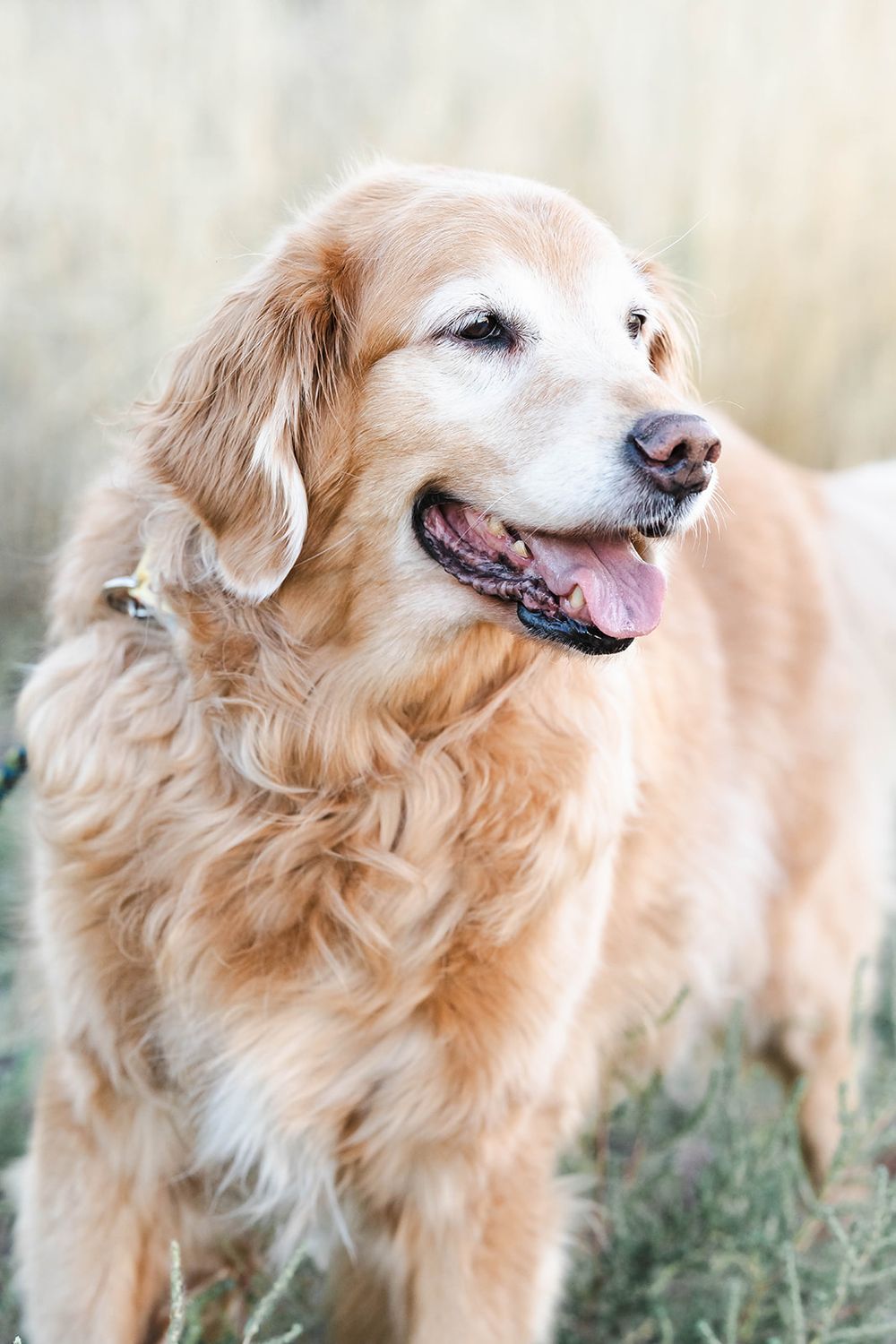 Chris Loring Photography