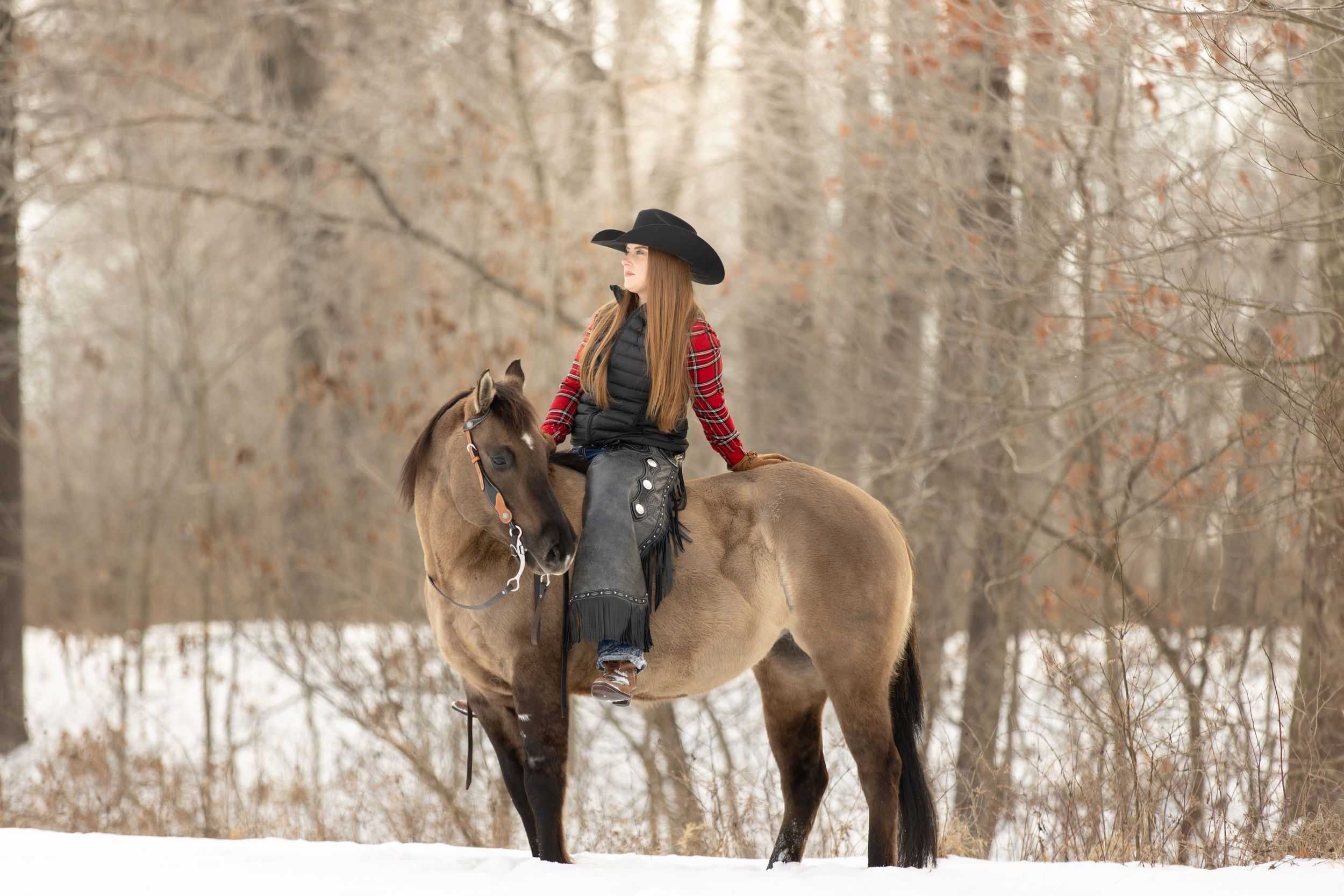 Amber Helm Photography | Illinois senior, equine and family portraits