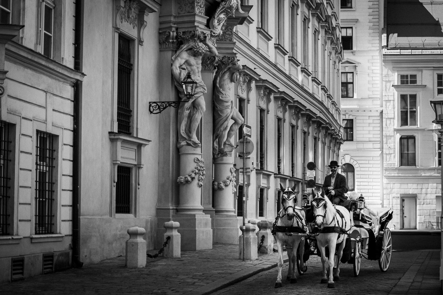 About Vienna Nhoir