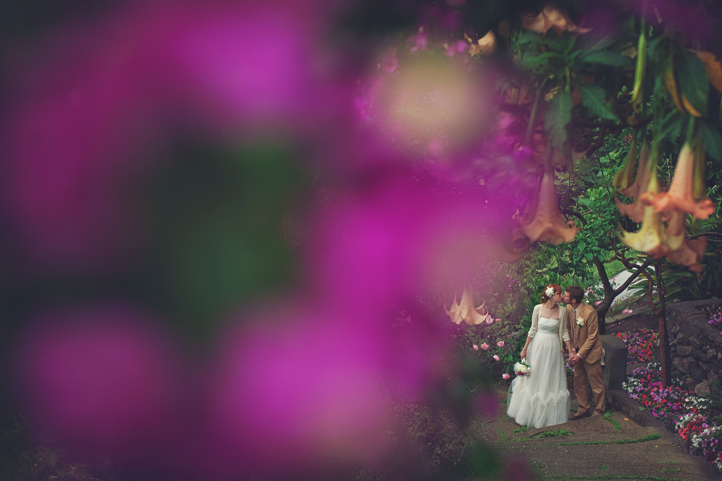 w. scott chester photography