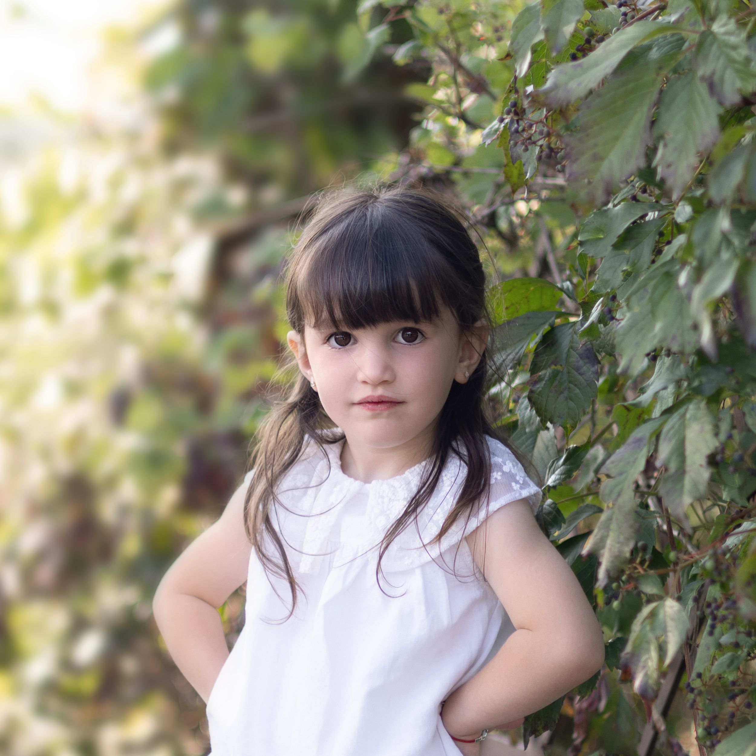 Portfolio - Gitty Breier Photography