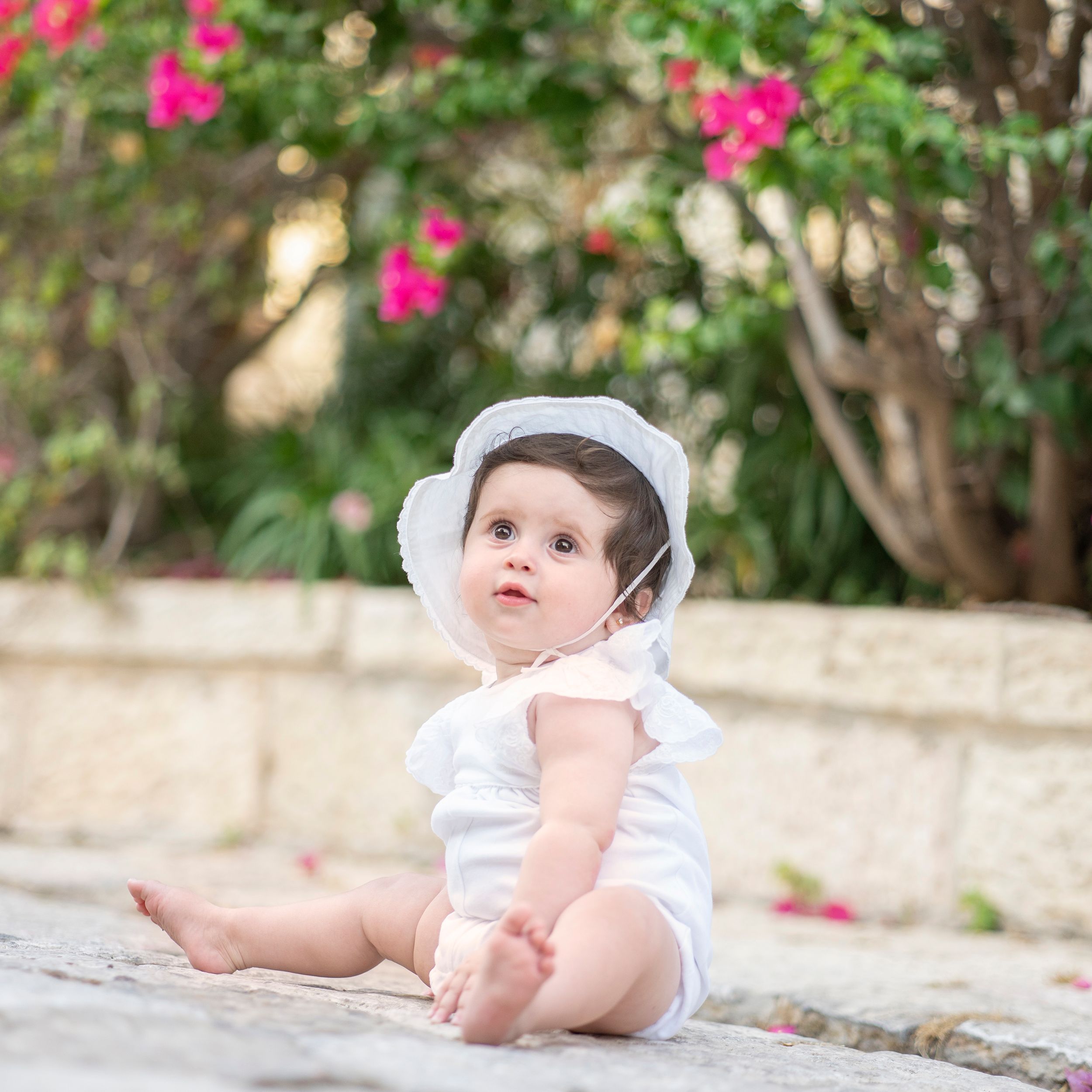 Gitty Breier Photography