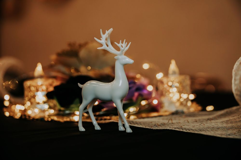 Centralia & Chehalis Holiday Event Bucket List (2025 Edition ...