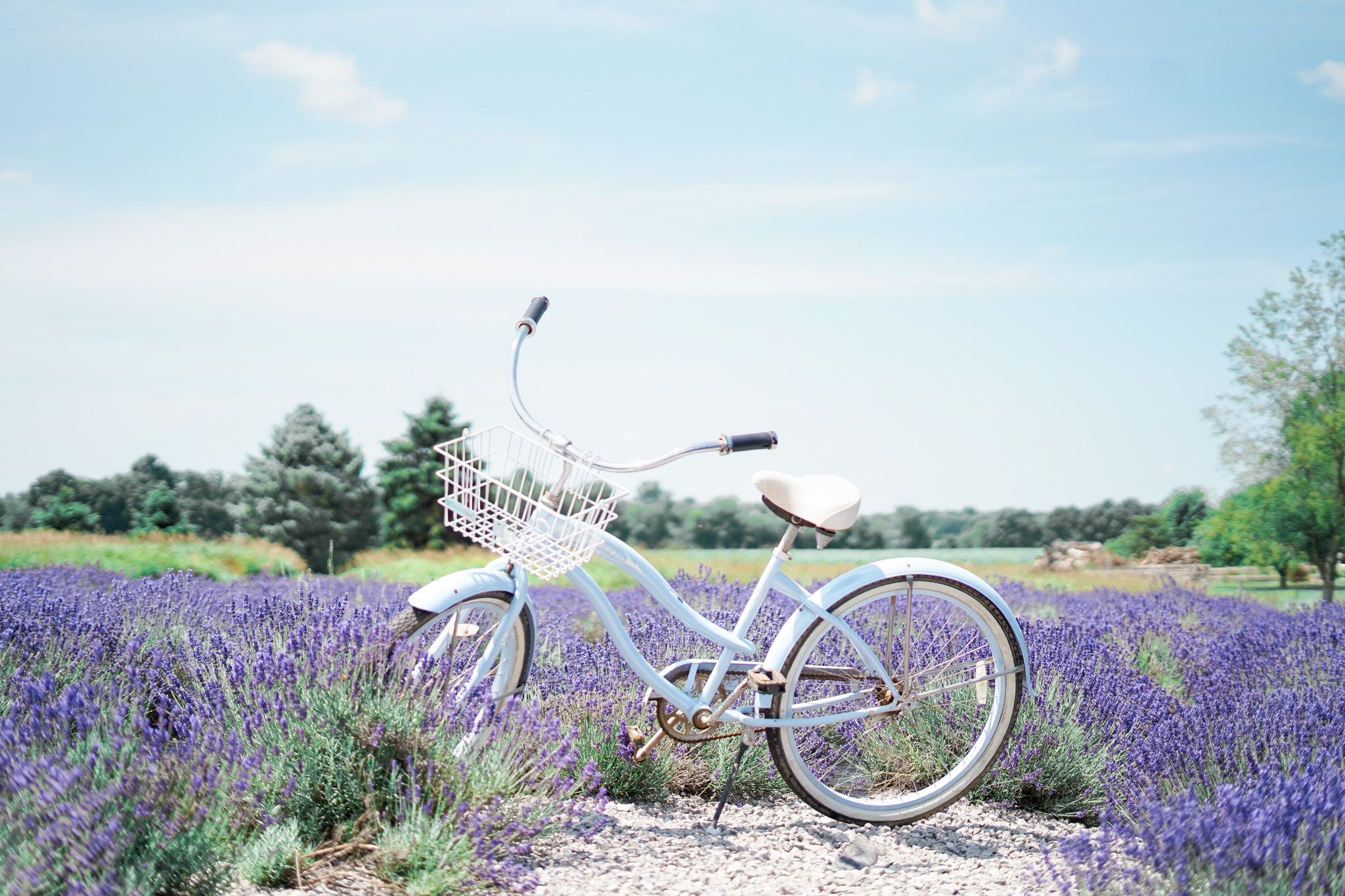 Dana Reinke Photography