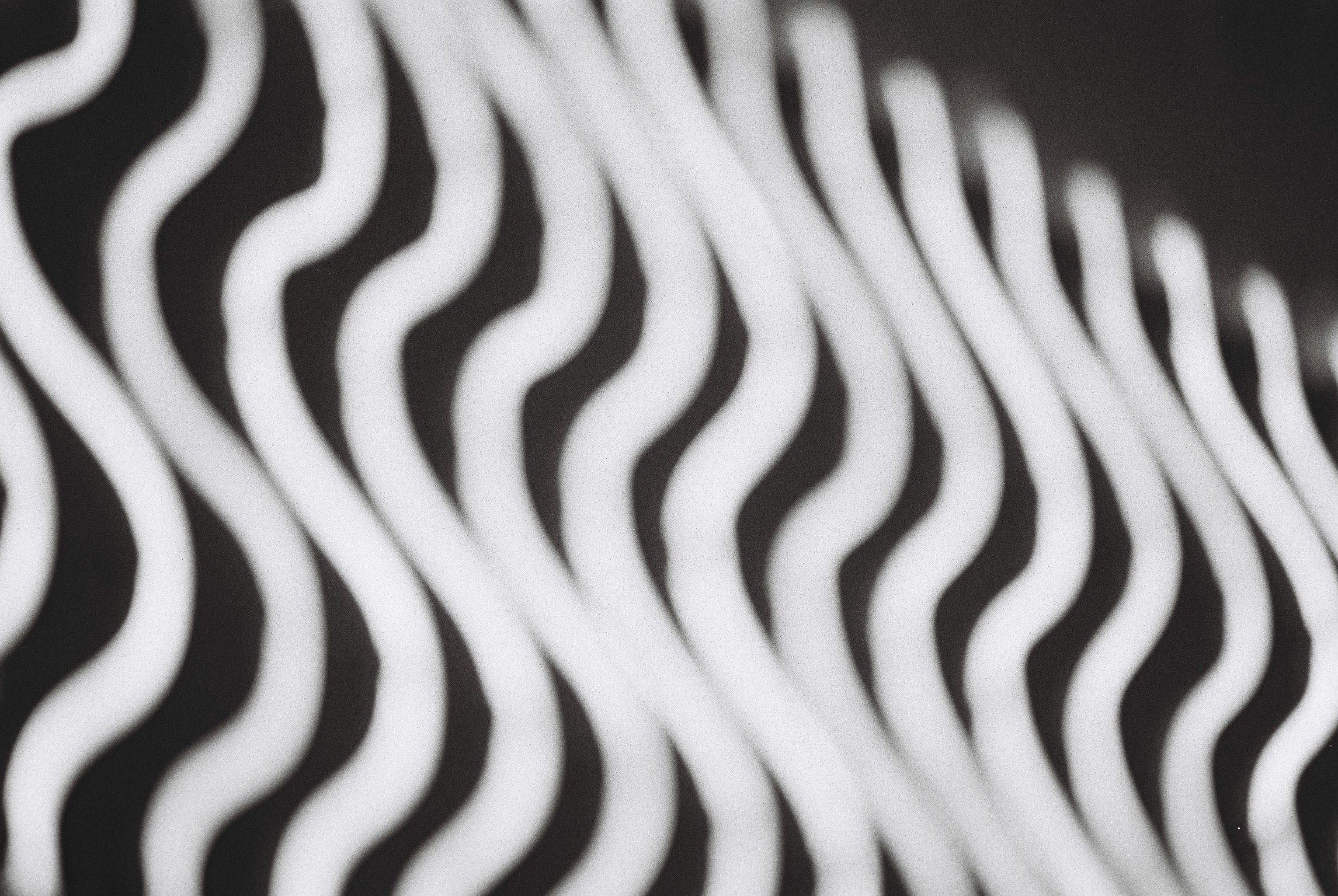 danielle watt film + photo