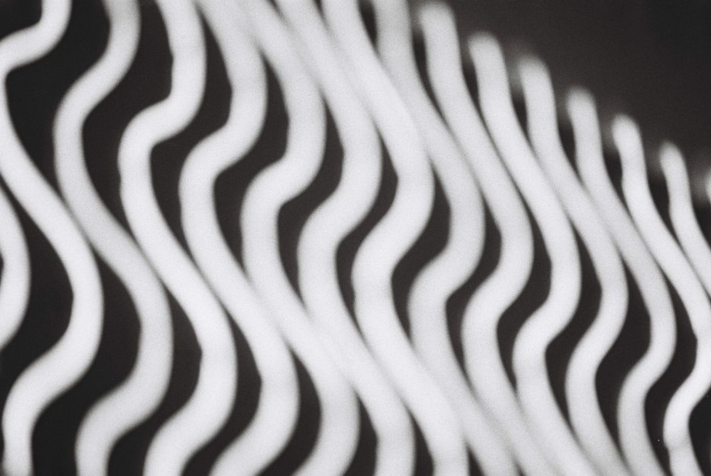 danielle watt film + photo