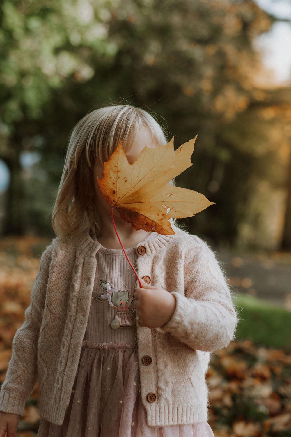 Finding My "why" through the lens - Mel Van Huffel
