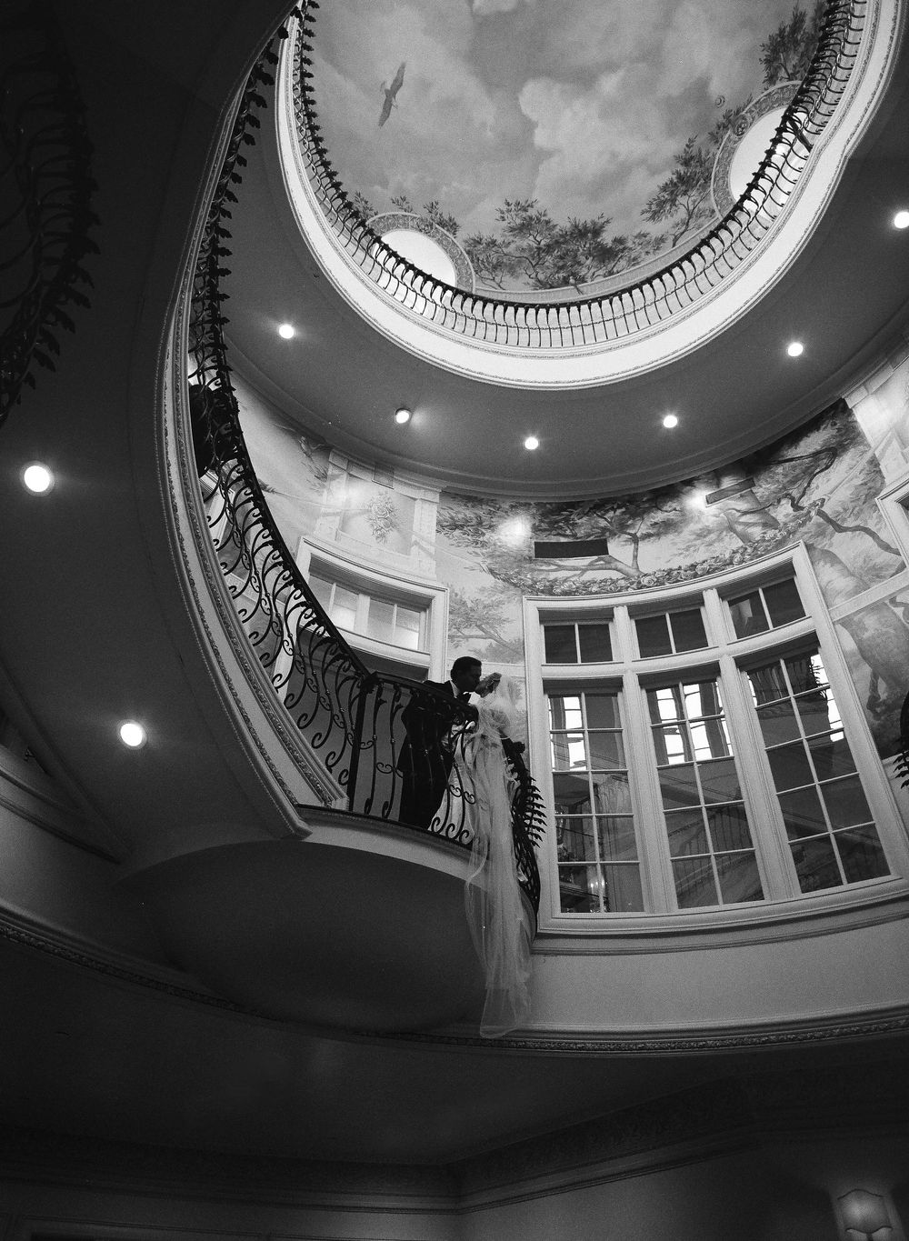 Taylor Friedman Photography