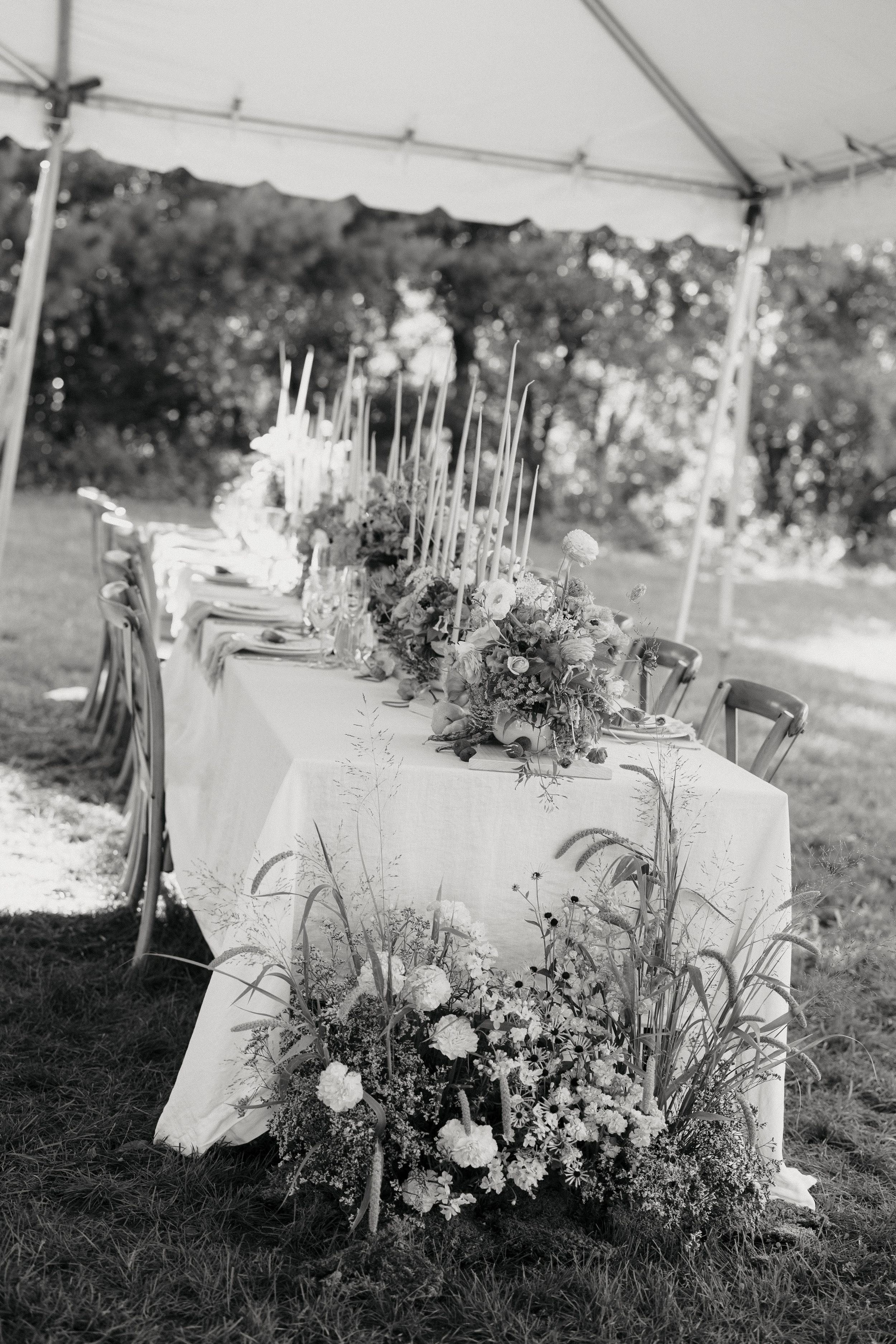 Taylor Friedman Photography
