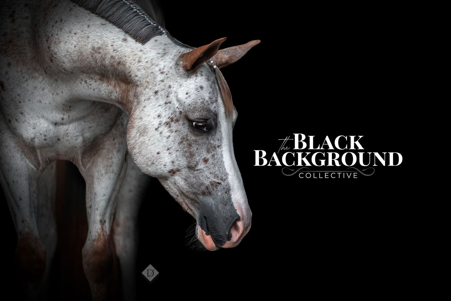 The Black Background Collective - Dapper Dreams Photography