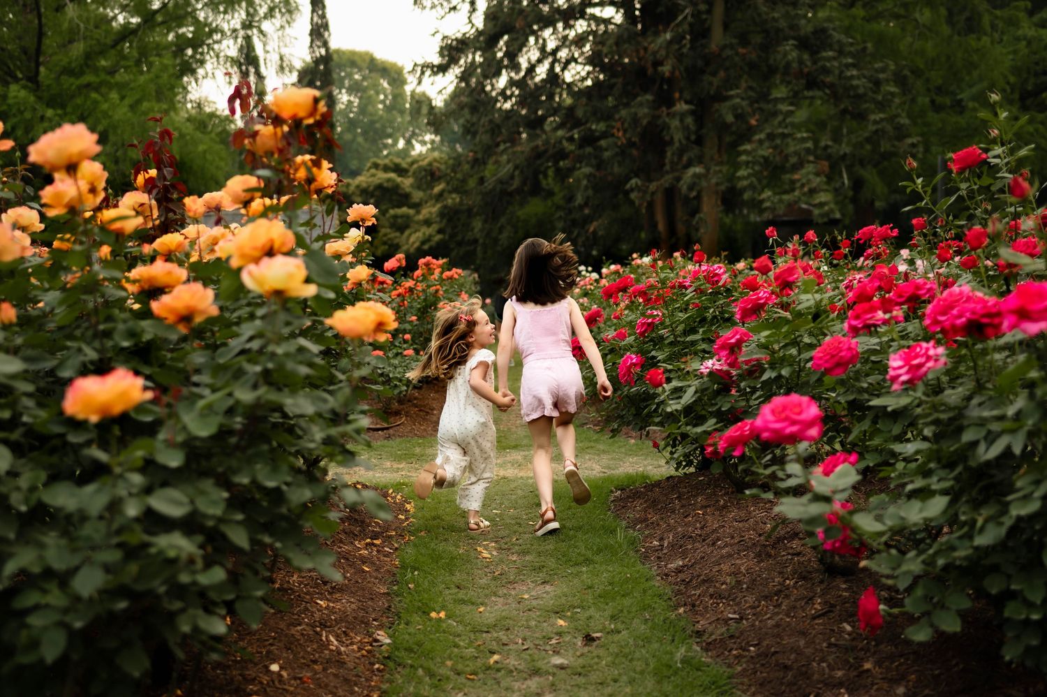 Summer Months in NC - Emma Branch Photography