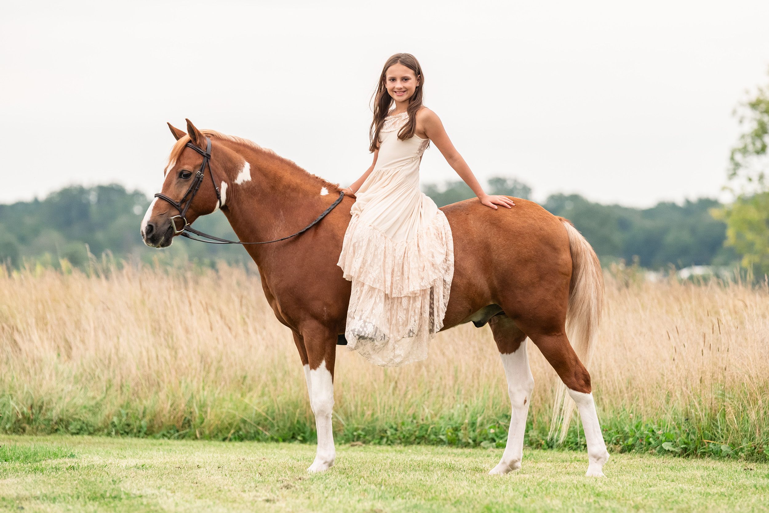 Buffalo, WNY Horse and Pet Photographer | Jordan Testa Photography