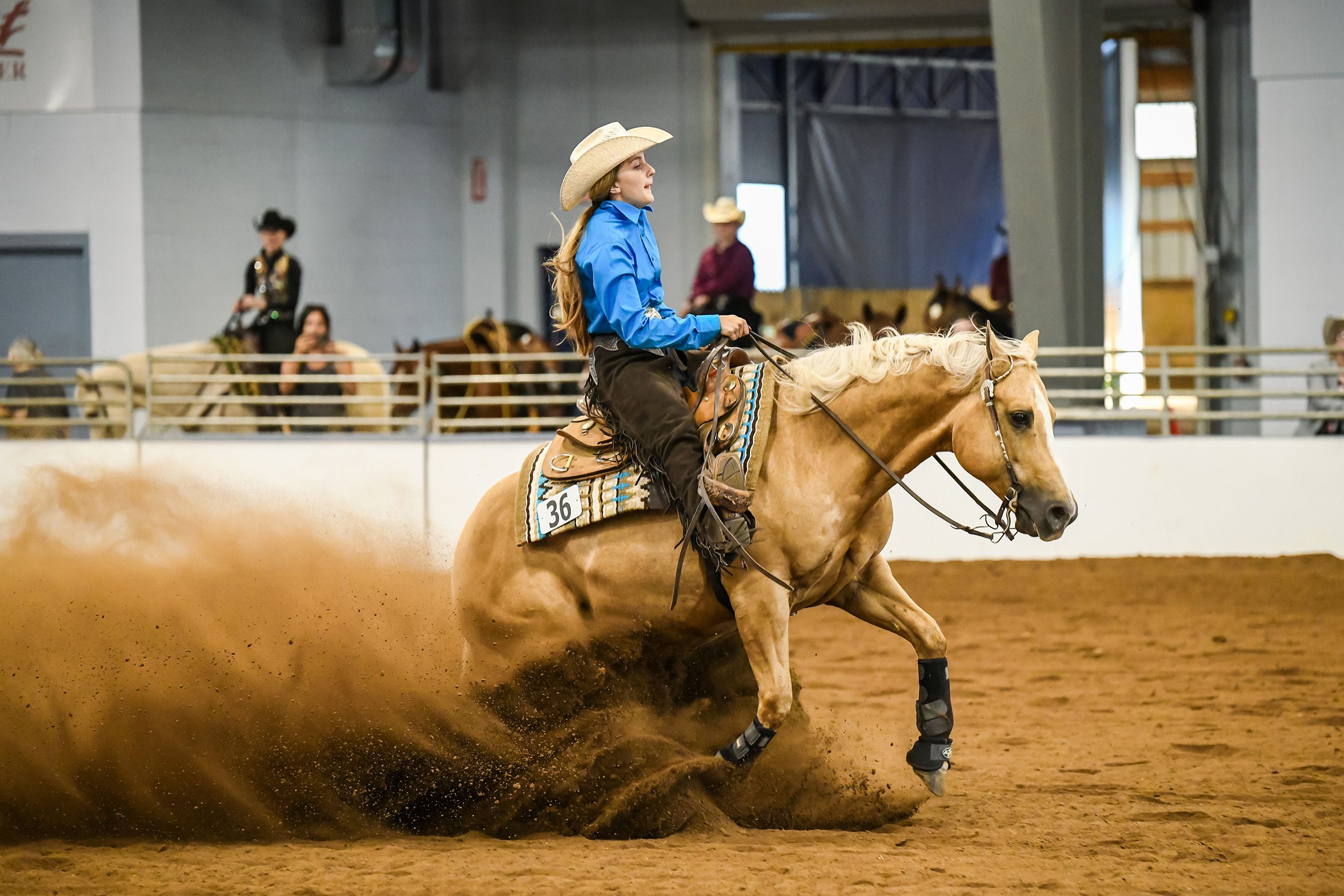 Buffalo and WNY Horse Show Photographer - Buffalo, WNY Horse and Pet ...