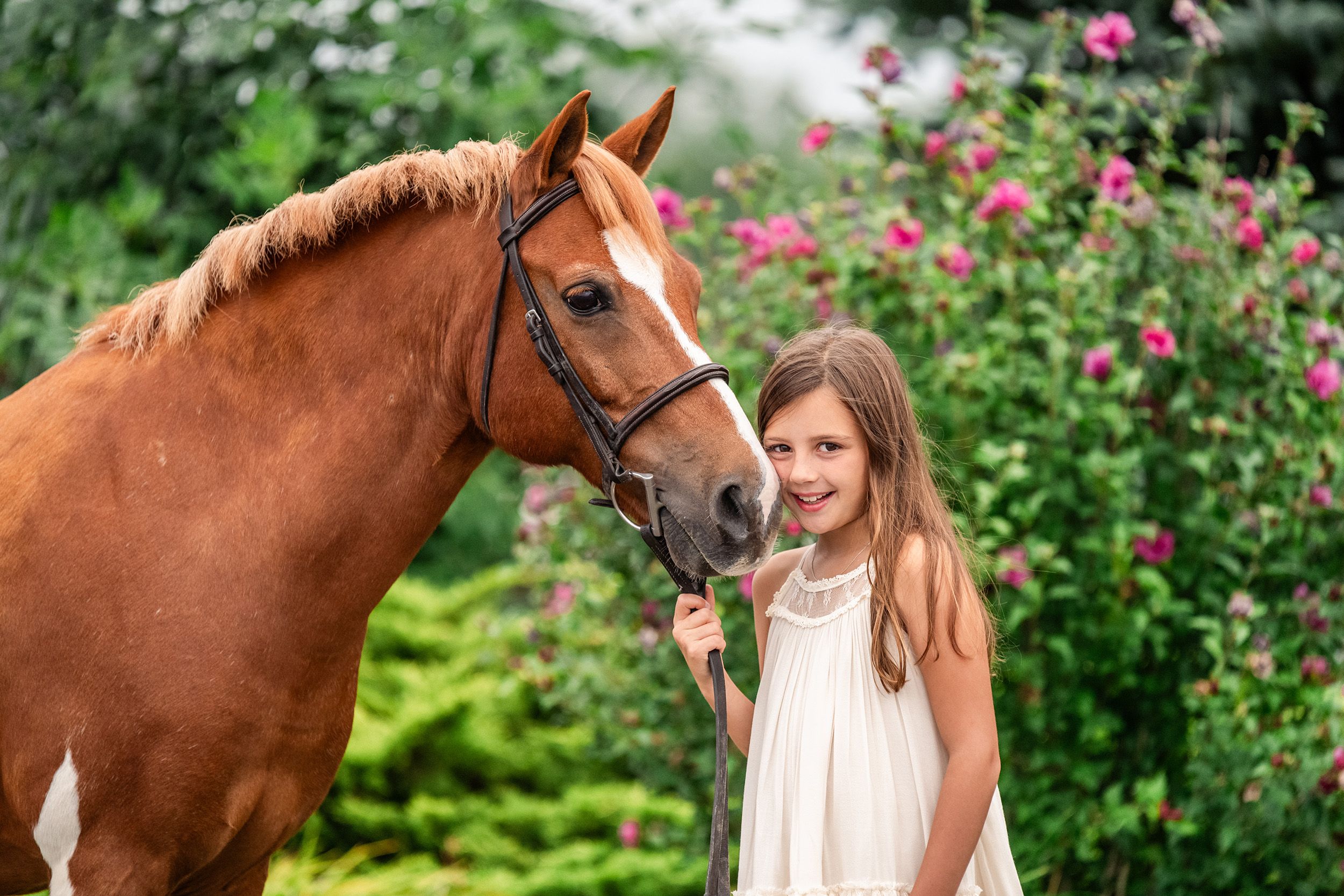 Buffalo, WNY Horse and Pet Photographer | Jordan Testa Photography