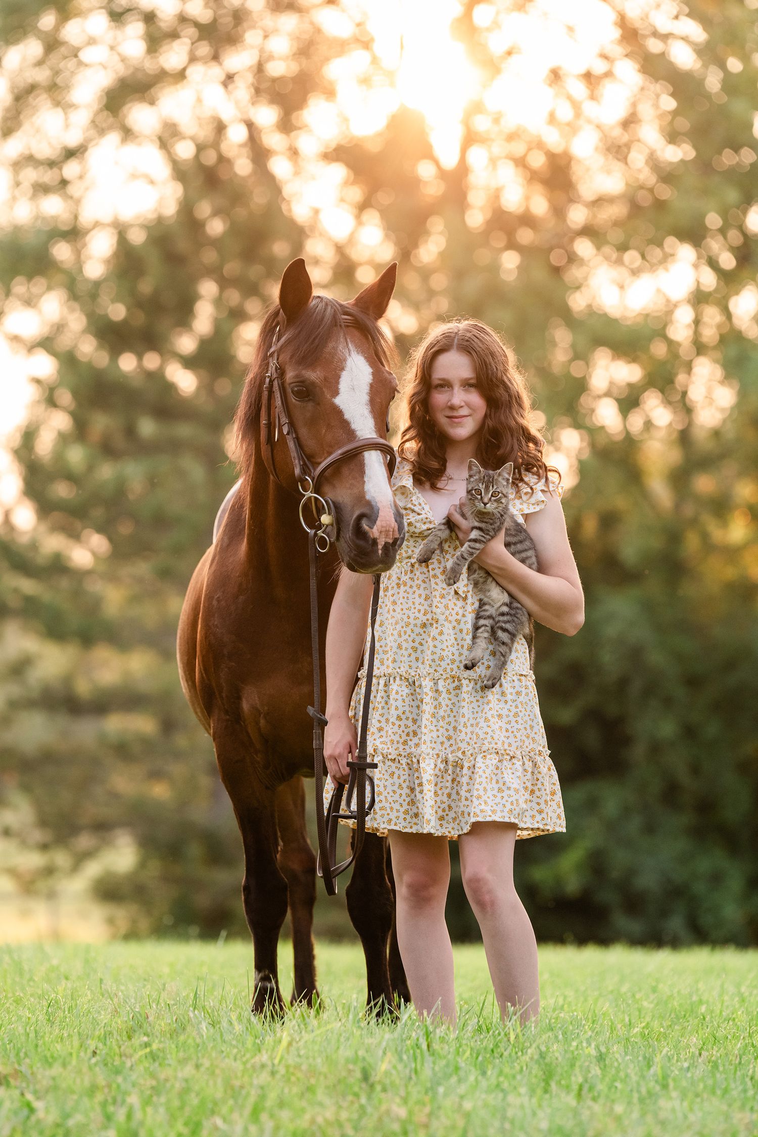 Buffalo, WNY Horse and Pet Photographer | Jordan Testa Photography