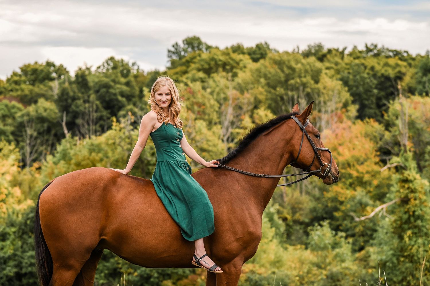 Buffalo, WNY Horse and Pet Photographer | Jordan Testa Photography