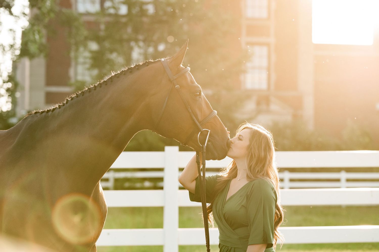 Buffalo, WNY Horse and Pet Photographer | Jordan Testa Photography