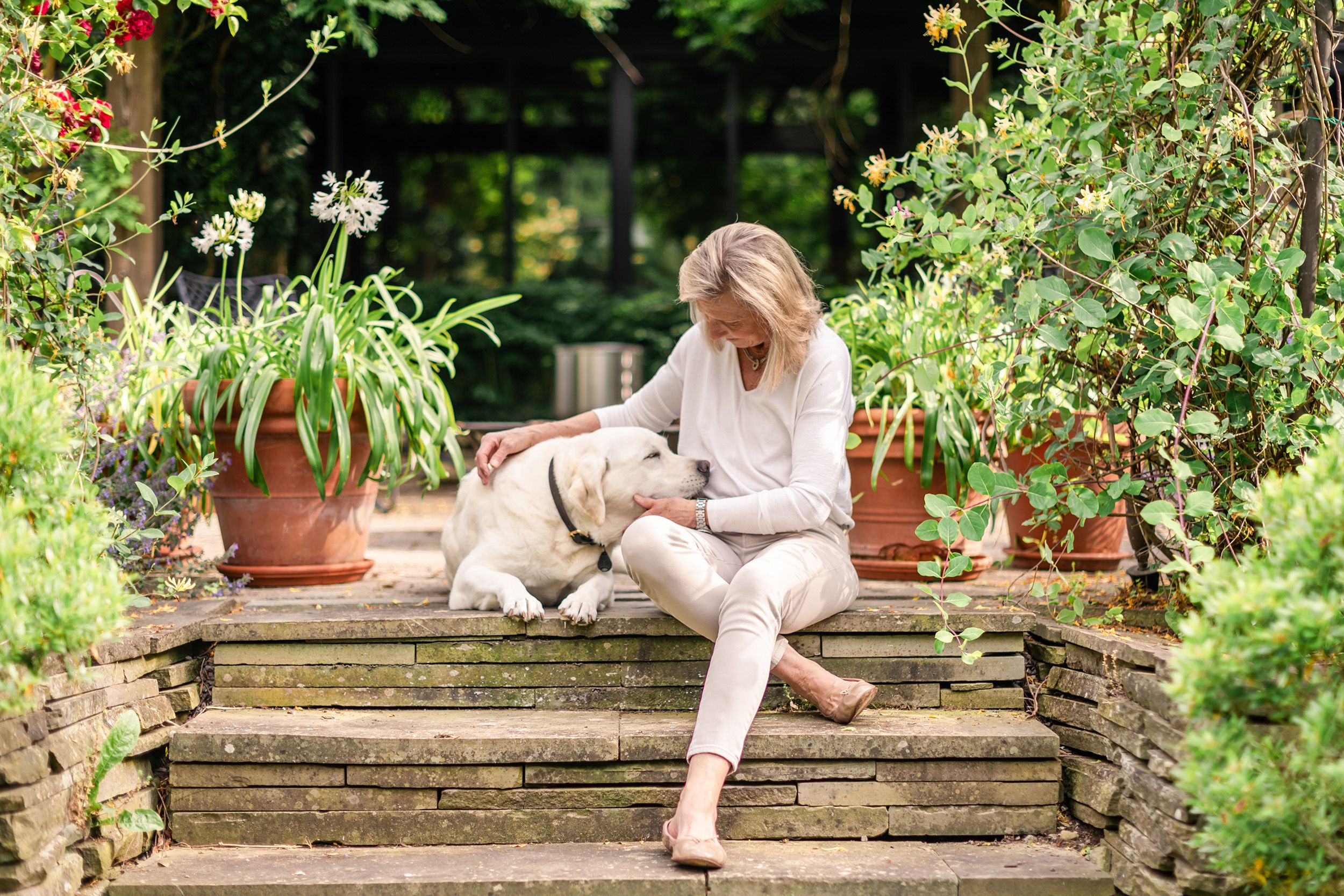 Buffalo Pet Portrait Photographer - Buffalo, WNY Horse and Pet ...