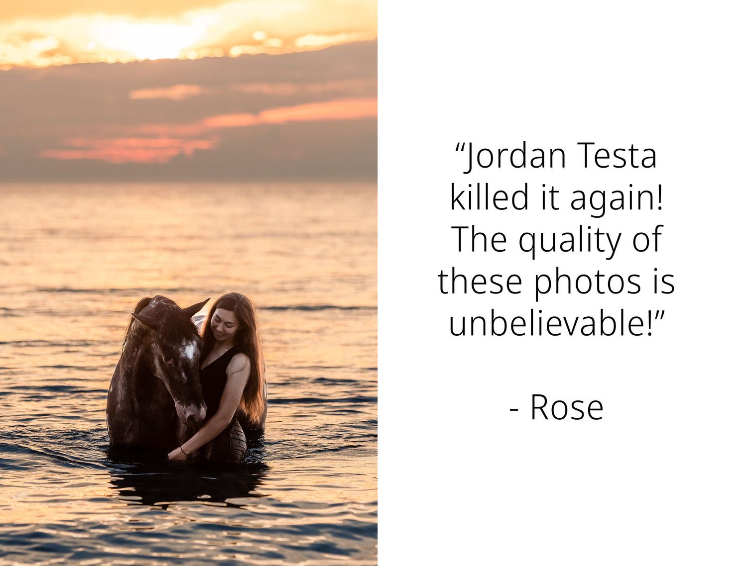 Buffalo, WNY Horse and Pet Photographer | Jordan Testa Photography