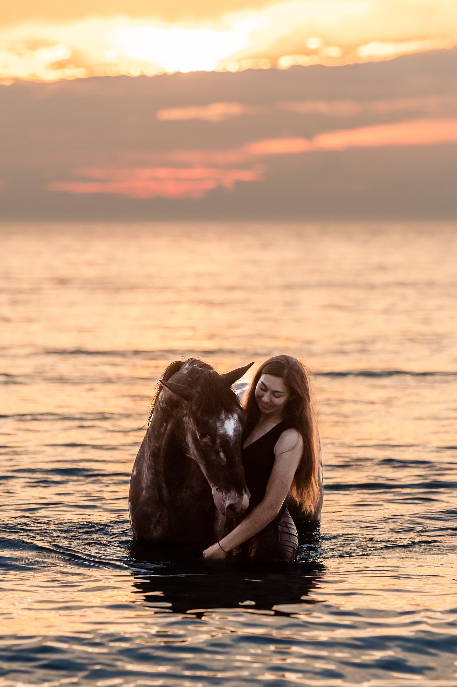 Buffalo, WNY Horse and Pet Photographer | Jordan Testa Photography