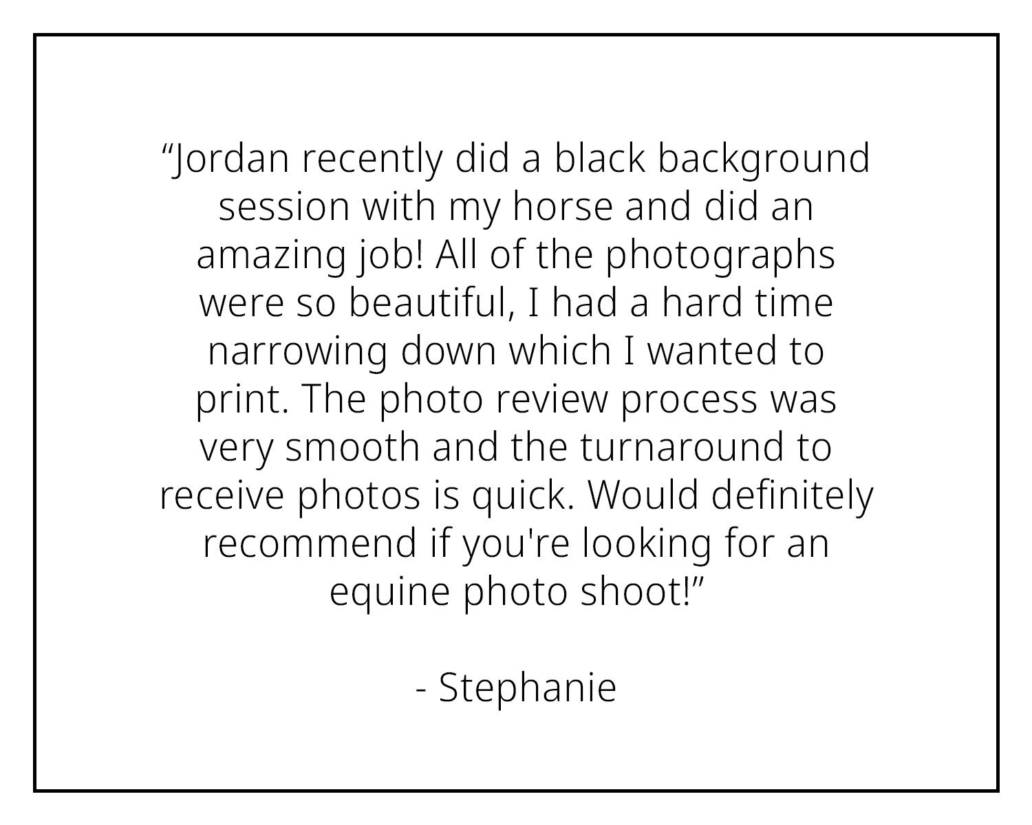 Buffalo, WNY Horse and Pet Photographer | Jordan Testa Photography