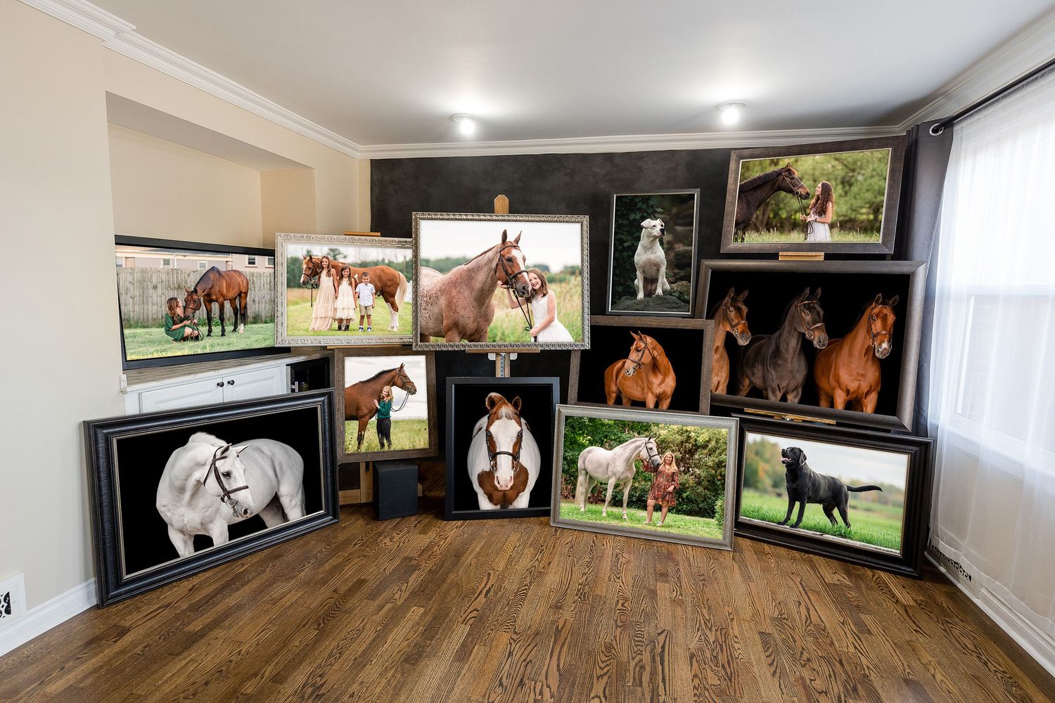 Buffalo, WNY Horse and Pet Photographer | Jordan Testa Photography