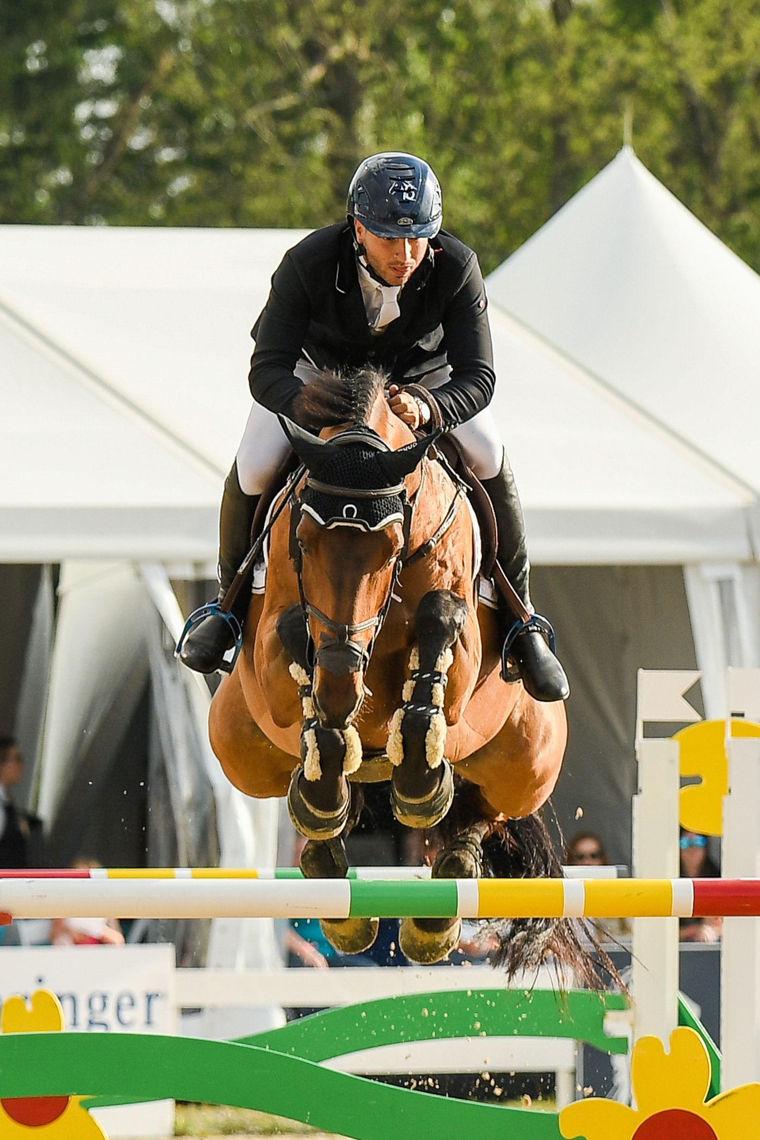Buffalo and WNY Horse Show Photographer - Buffalo, WNY Horse and Pet ...