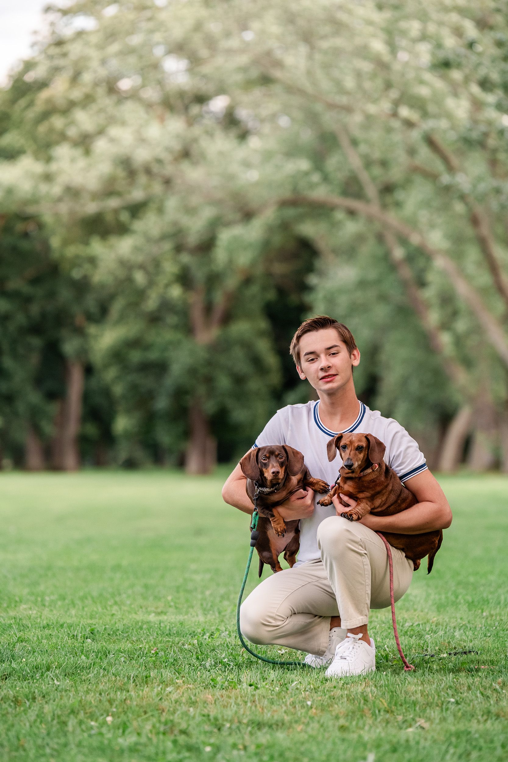Buffalo Pet Portrait Photographer - Buffalo, WNY Horse and Pet ...