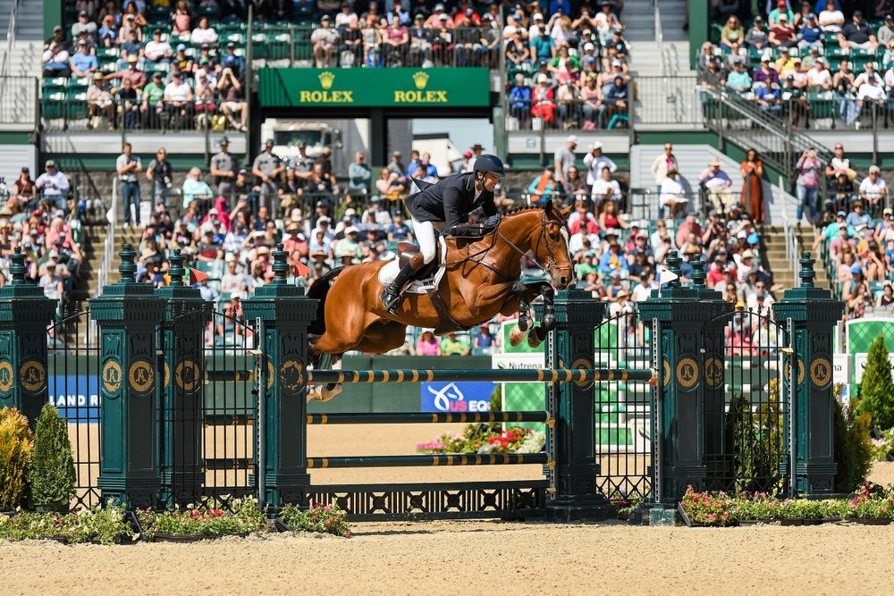 Buffalo, WNY Horse and Pet Photographer | Jordan Testa Photography