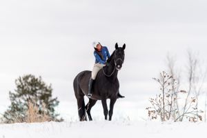 Buffalo, WNY Horse and Pet Photographer | Jordan Testa Photography