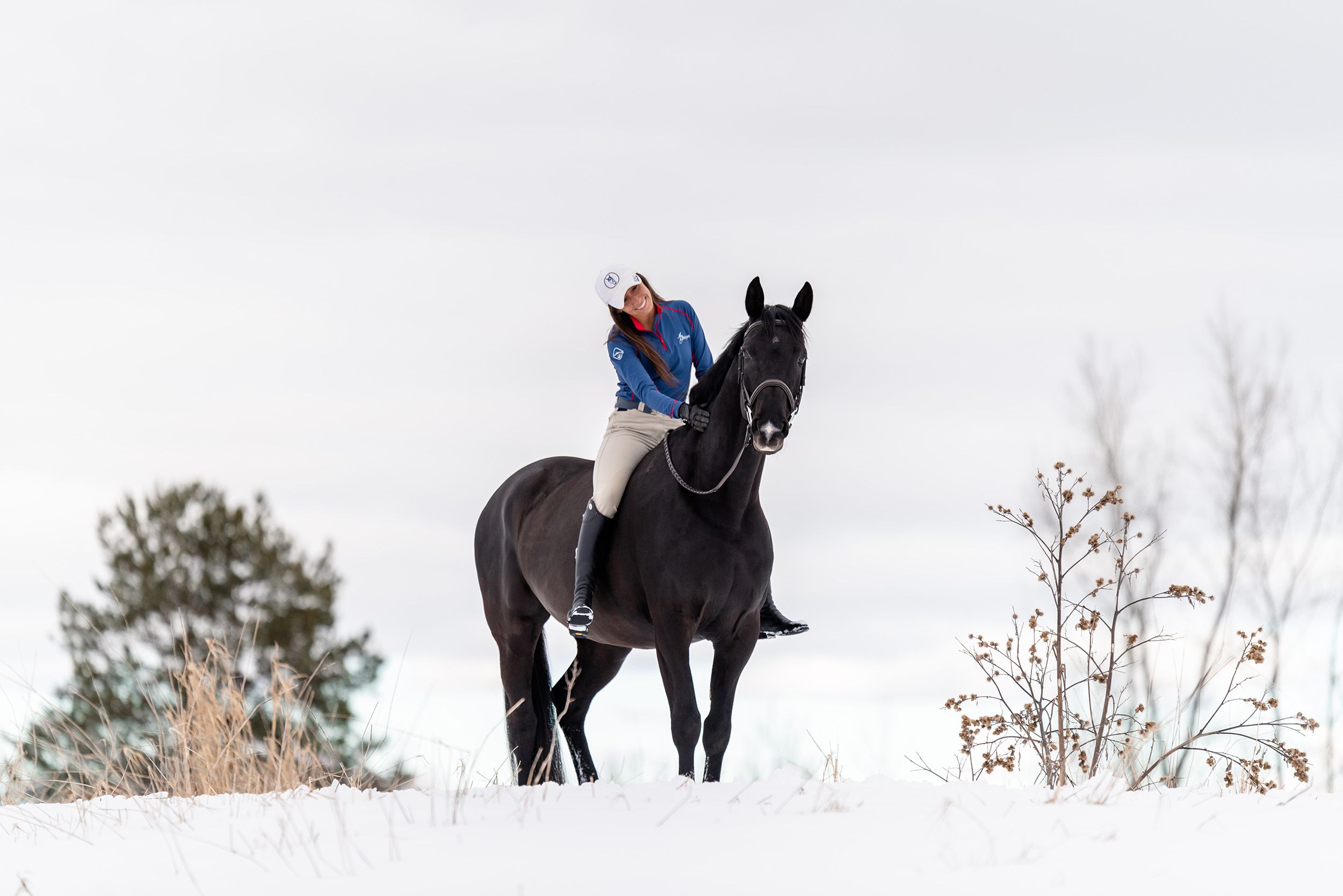Buffalo, WNY Horse and Pet Photographer | Jordan Testa Photography