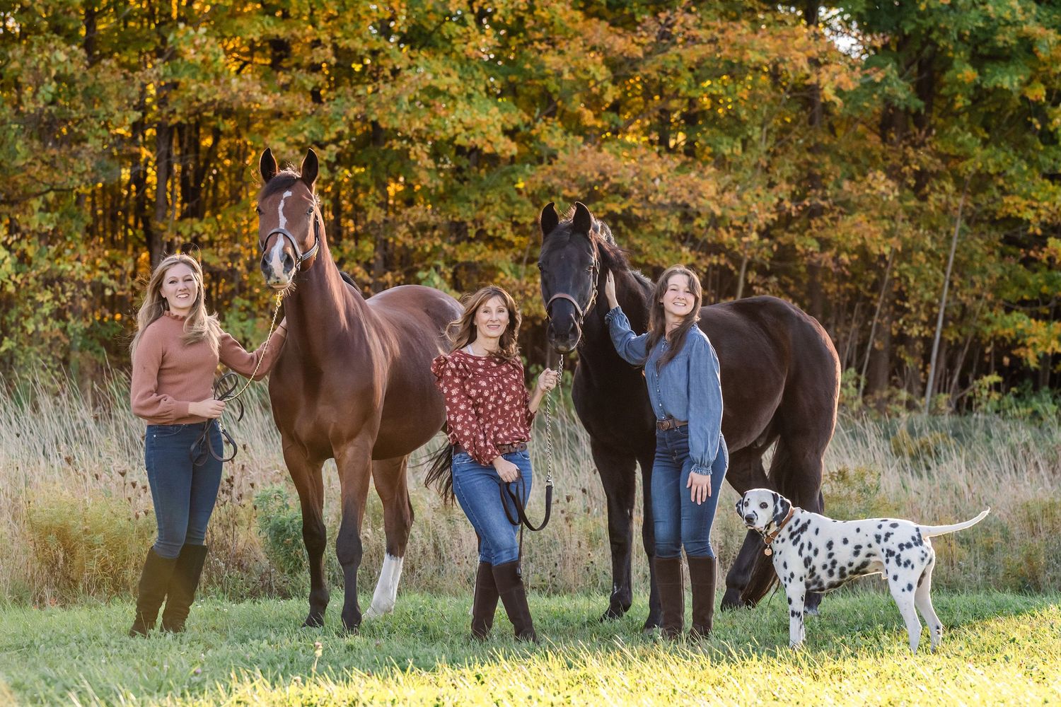 Buffalo, WNY Horse and Pet Photographer | Jordan Testa Photography
