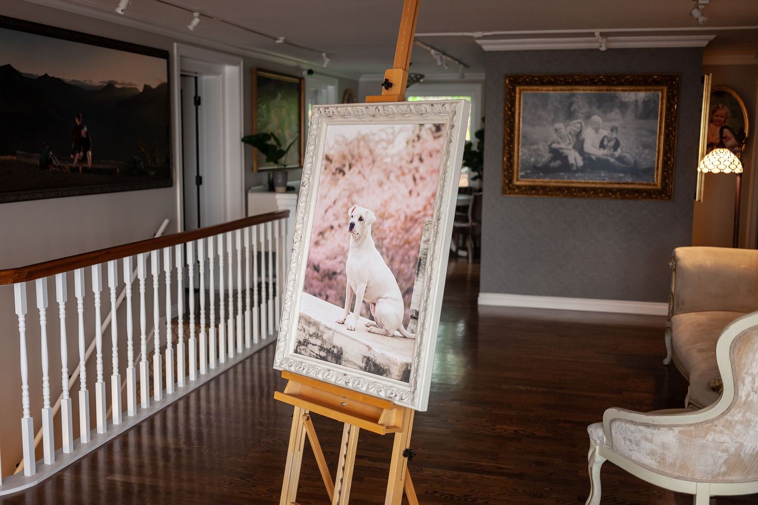 Buffalo, WNY Horse and Pet Photographer | Jordan Testa Photography