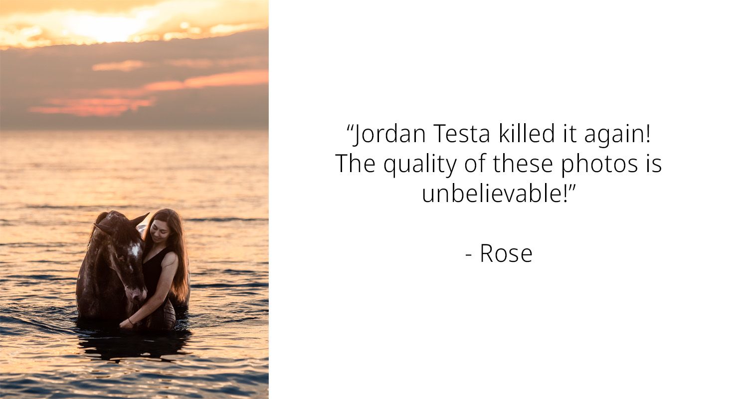 Buffalo, WNY Horse and Pet Photographer | Jordan Testa Photography