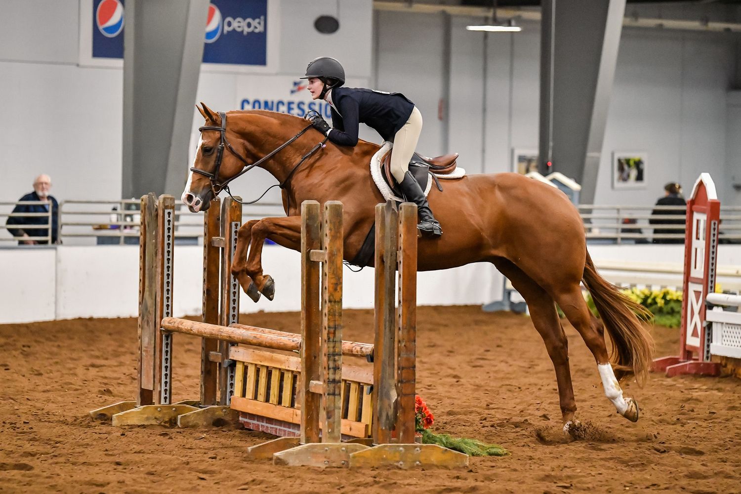 Buffalo and WNY Horse Show Photographer - Buffalo, WNY Horse and Pet ...