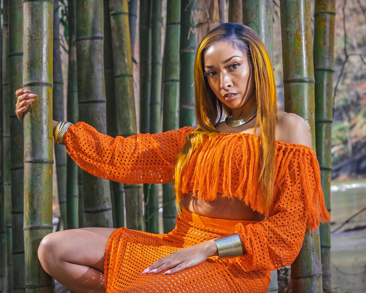 Bamboo Forest - Sam L Images