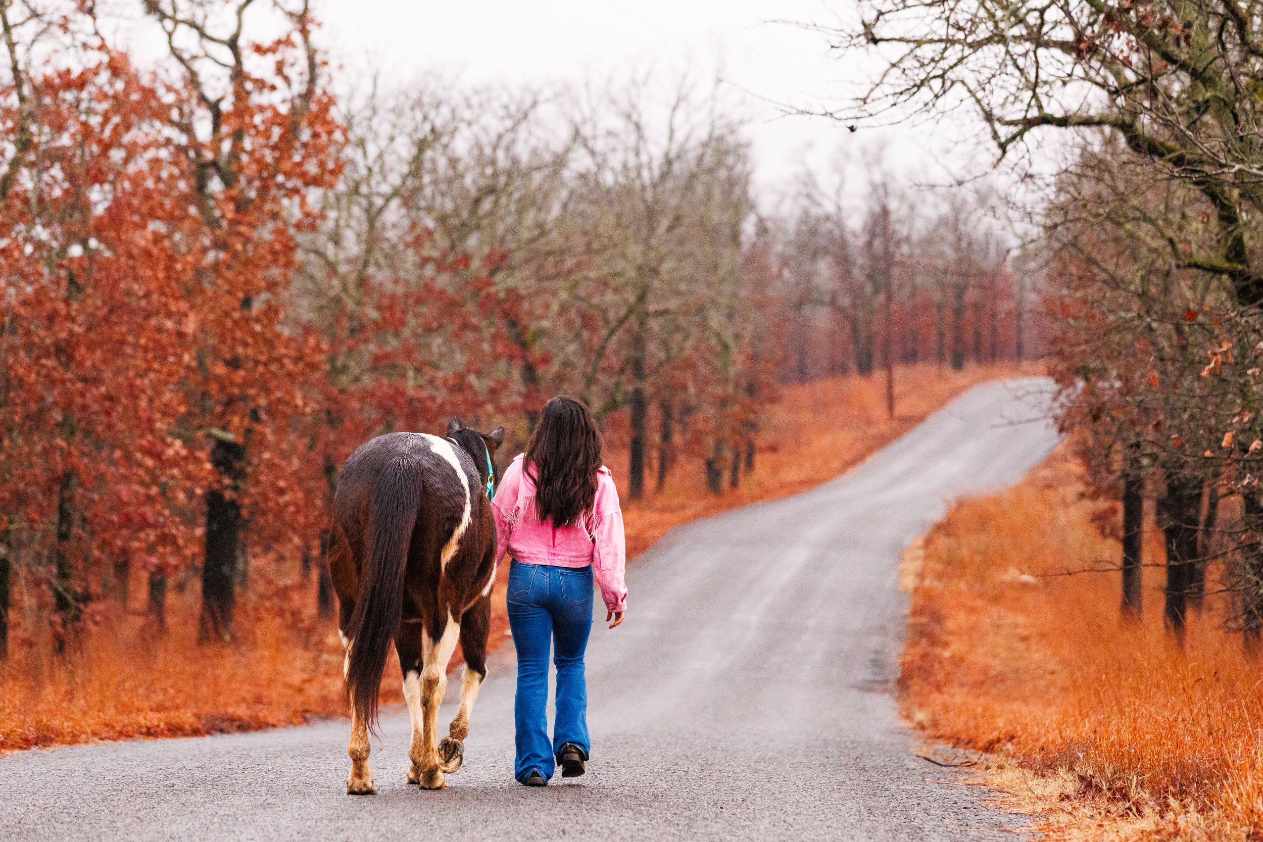 My Favorite Arkansas Photoshoot Locations - Tara Kaine Photography