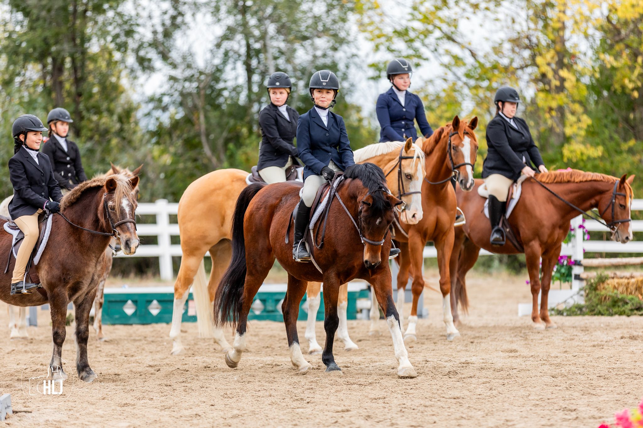 HLJ Images Horse Show Photography - HLJ Images