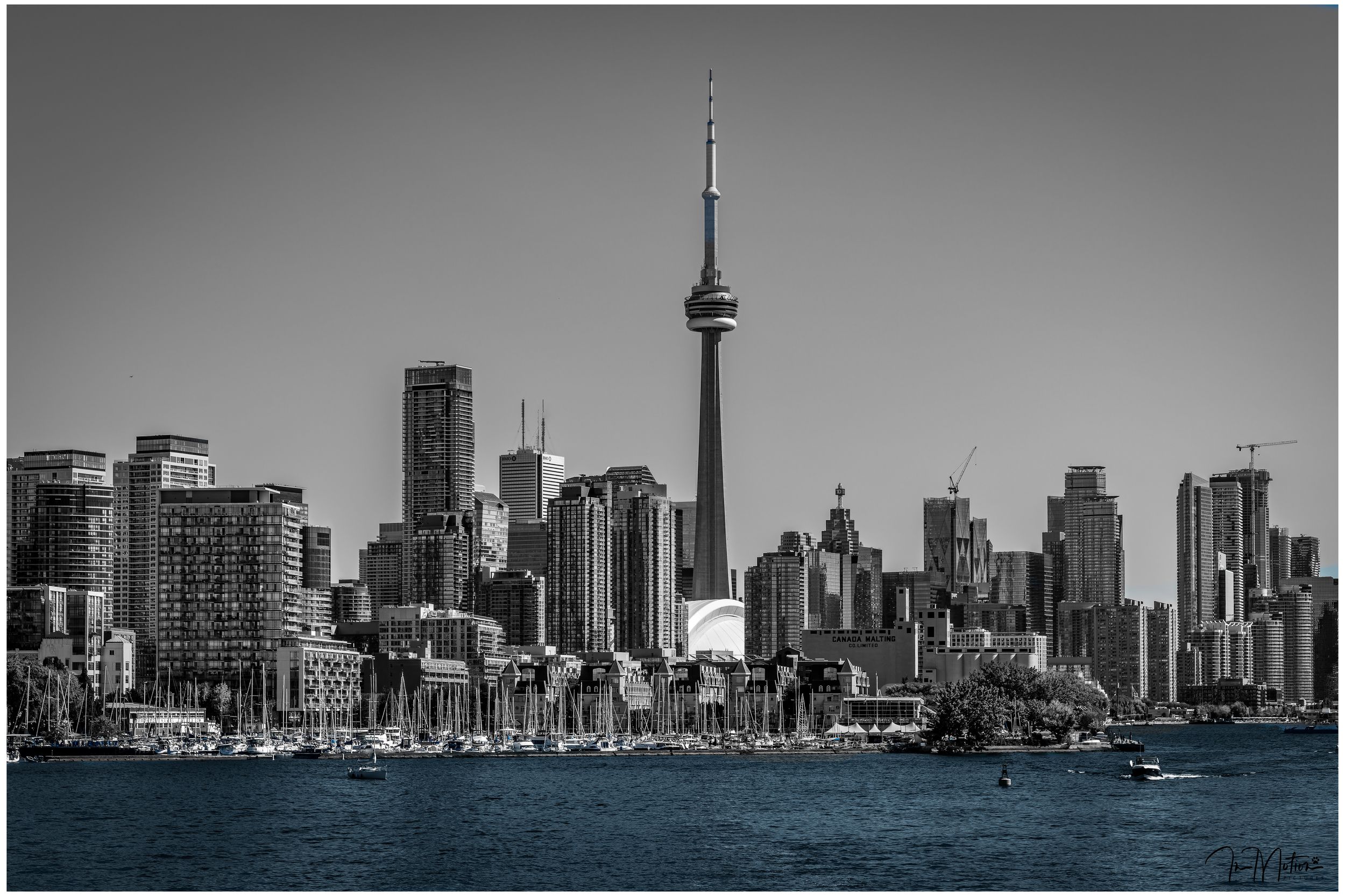 Fine Art - In Motion Pictures