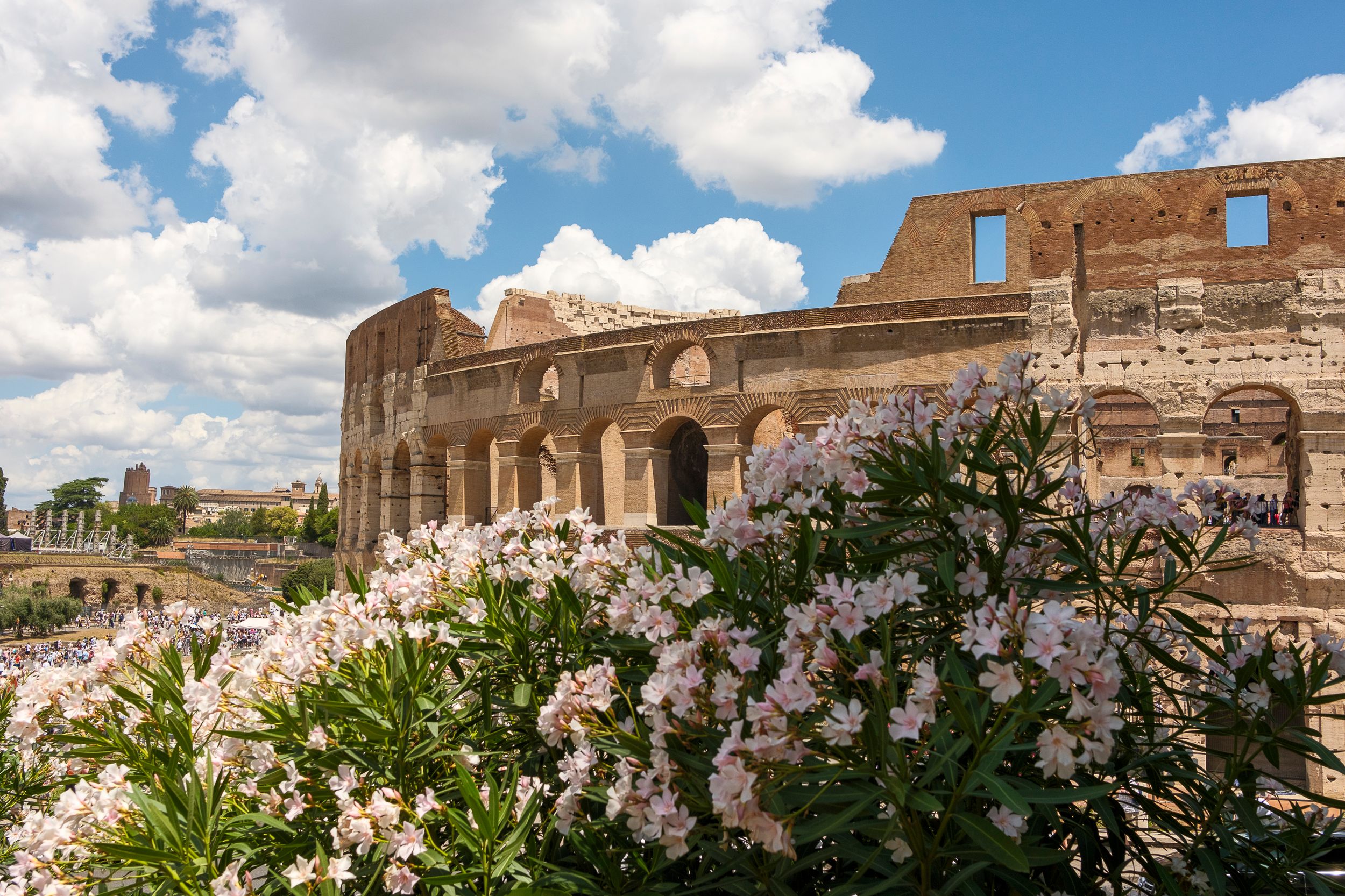 Rome, Italy - Victor DeSantis - Portrait Photography
